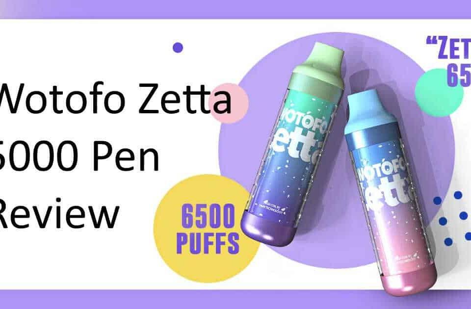 Disposable Vape Reviews Archives - SmokeTastic